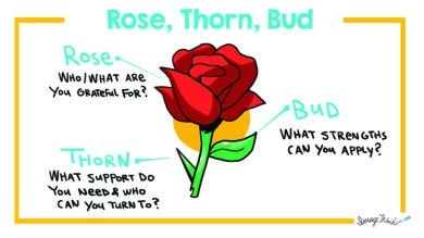 For Important Decisions, Think Visually.