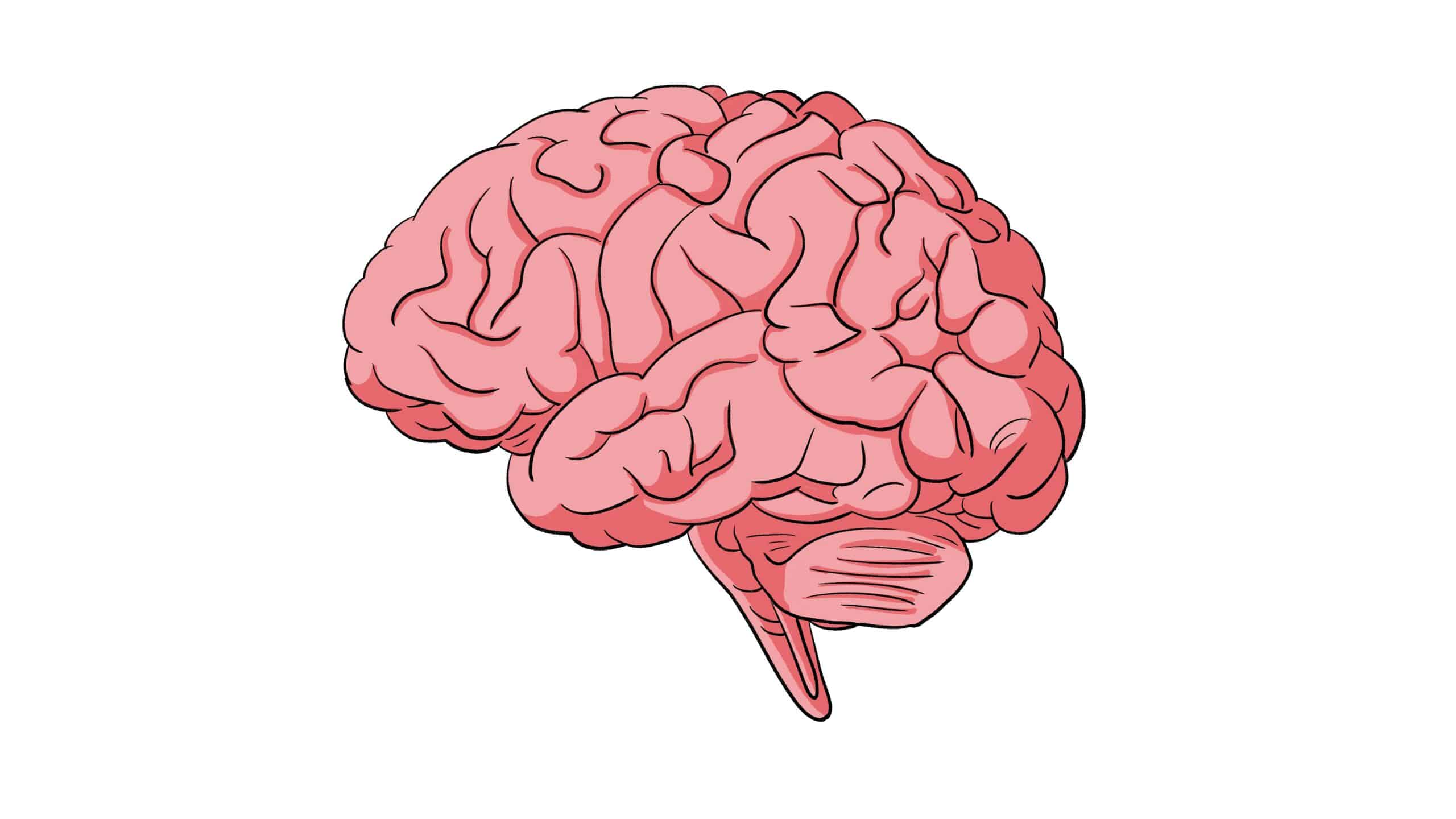 How Visual Thinking Transforms Leadership & Strategy